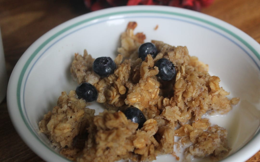 Yummy Baked Oatmeal Casserole (Super Frugal and So Simple!)