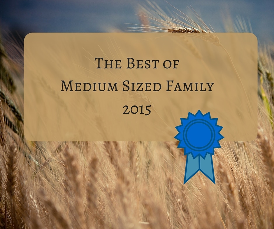 Best of Medium Sized Family 2015 - Medium Sized Family