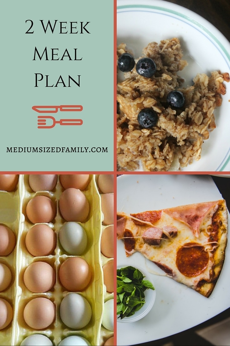 2 Week Menu Plan for Early January - Medium Sized Family