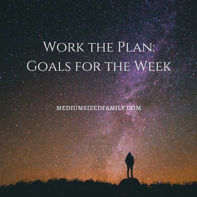 Work the Plan: Goals for the Week 1/4 - Medium Sized Family
