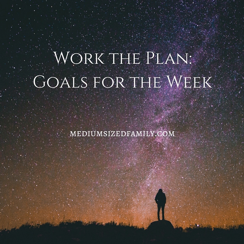 Work the Plan: Goals for the Week 1/4 - Medium Sized Family