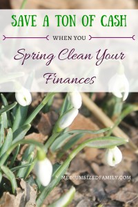Spring Clean Your Finances and Save the Money for Fun