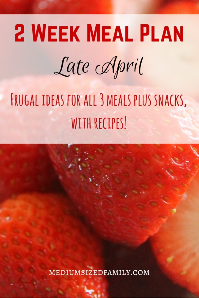 2 Week Meal Plan for Late April - Medium Sized Family