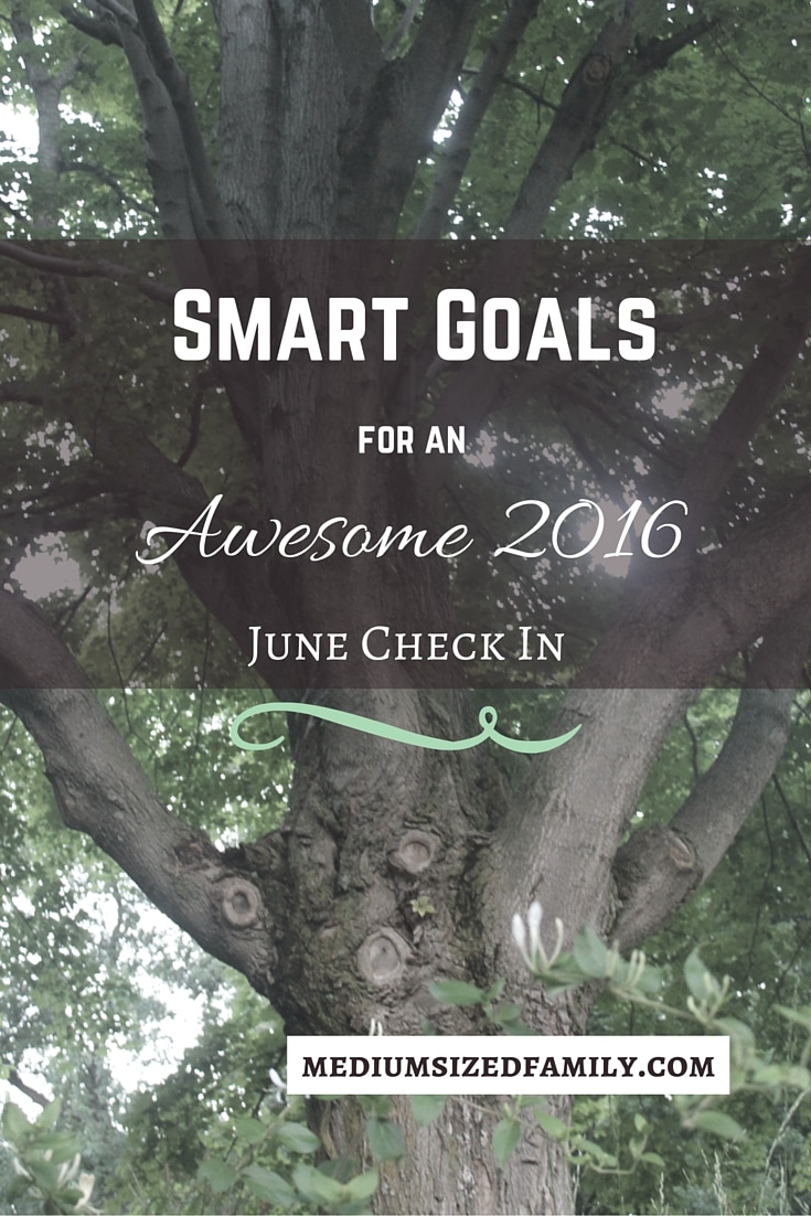 My S.M.A.R.T. Yearly Goals - June Check In - Medium Sized Family