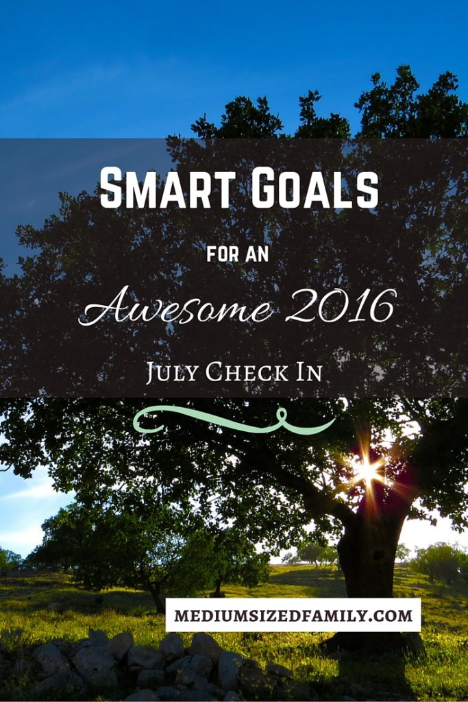 My S.M.A.R.T. Yearly Goals - July Check In - Medium Sized Family