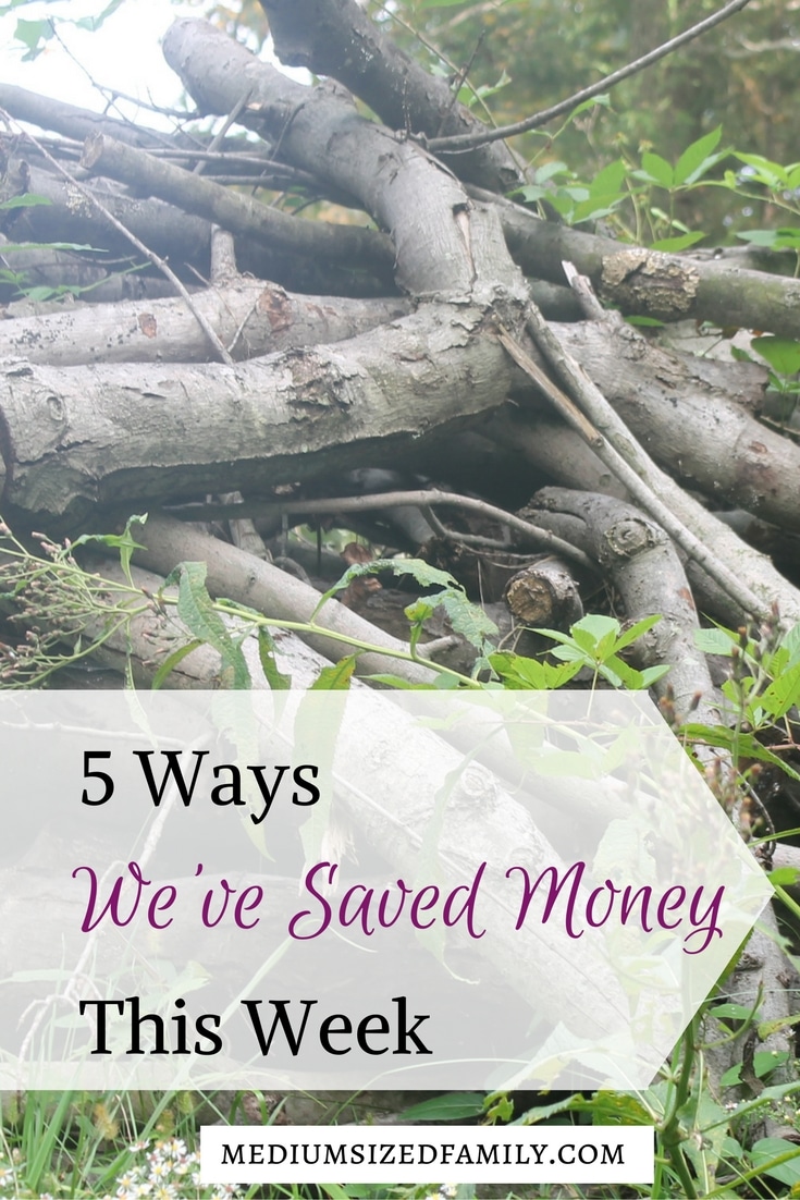 5 Ways We've Saved Money This Week 54 - Medium Sized Family