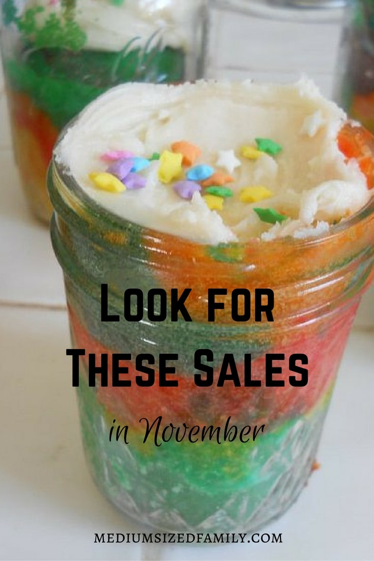 10 Best Buys You'll Find in November - Medium Sized Family