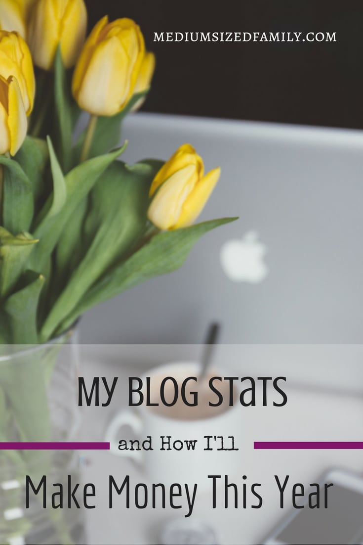 The Truth About My Blog Stats and How I'll Make Money This Year