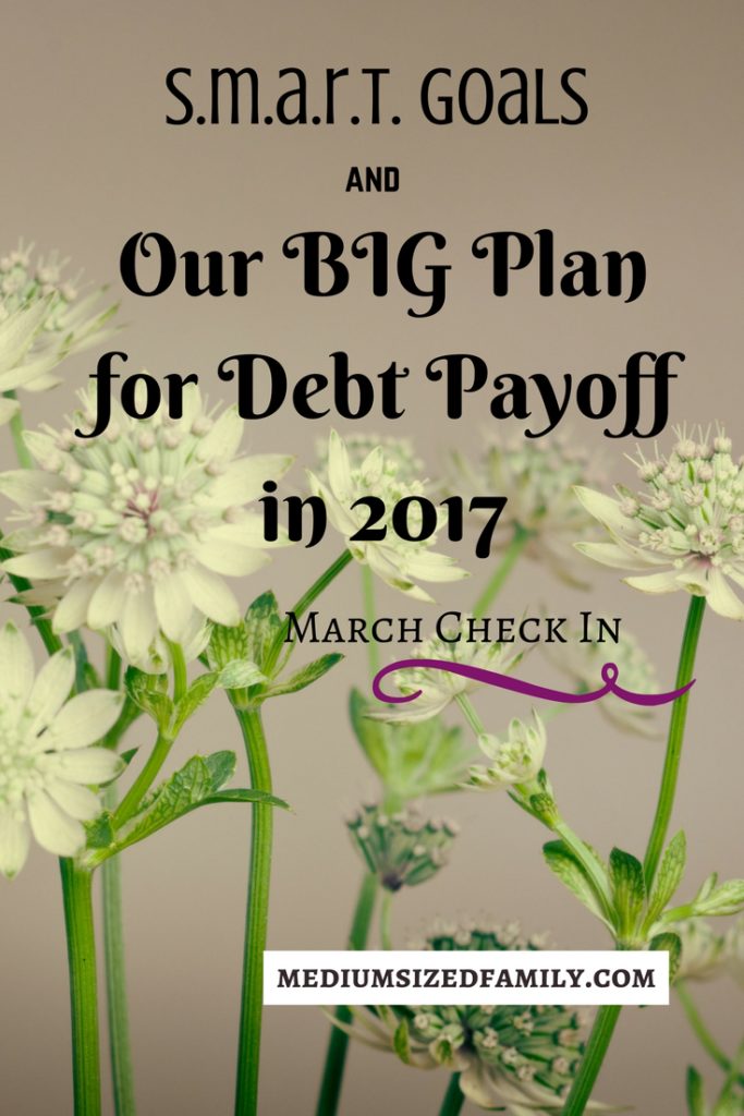 March Check In: Our SMART Goals and Debt Payoff