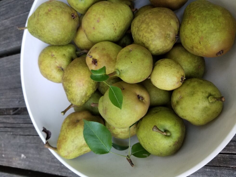 This Scrumptious Pear Bread Recipe Is An Easy Way To Use Pears