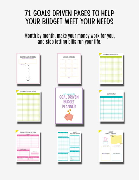 The Goals Driven Budget Planner