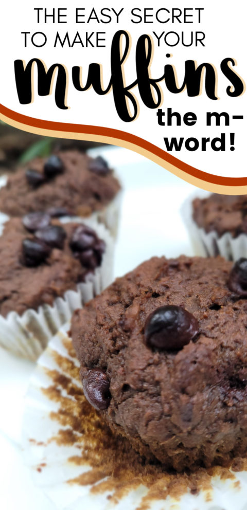 Easy 2 Ingredient Chocolate Pumpkin Muffins - Medium Sized Family