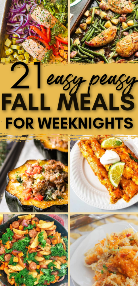 21 Fall Dinner Recipes That Whip Together In A Snap - Medium Sized Family